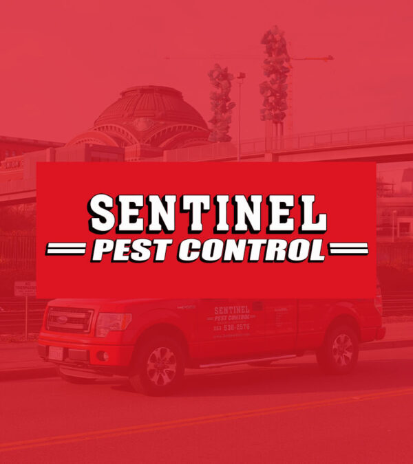 Counterweight Media | Digital Marketing Done Right.